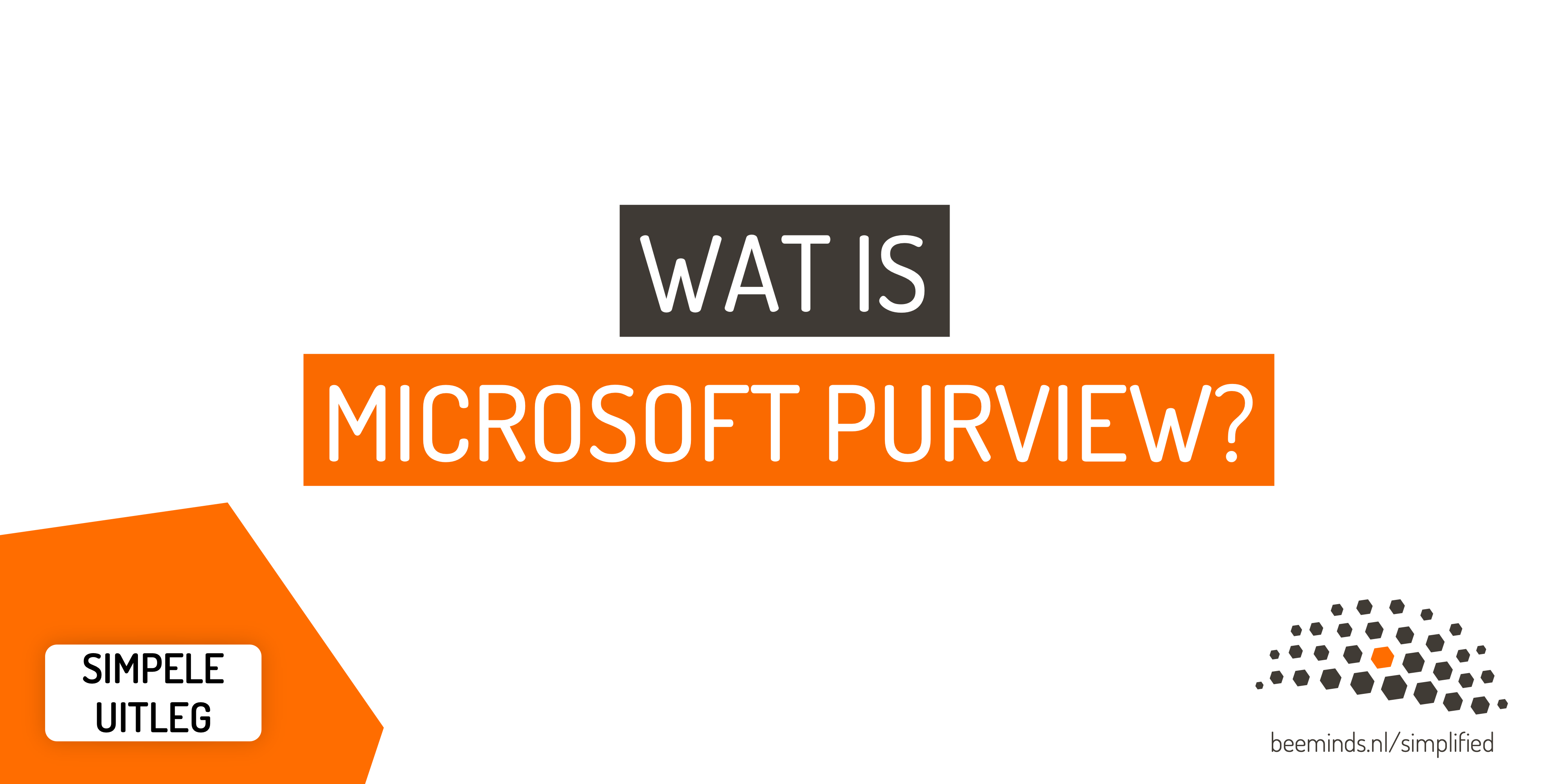 'Microsoft Purview' eenvoudig uitgelegd | Beeminds